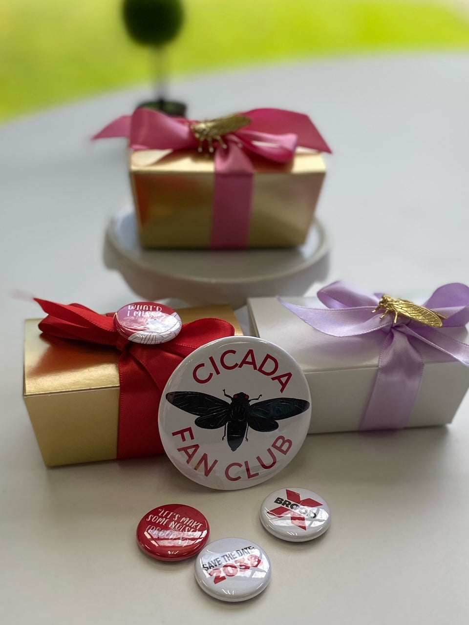 Large Molded Cicada - Marshmallow Filled - No Bugs – Chouquette Chocolates